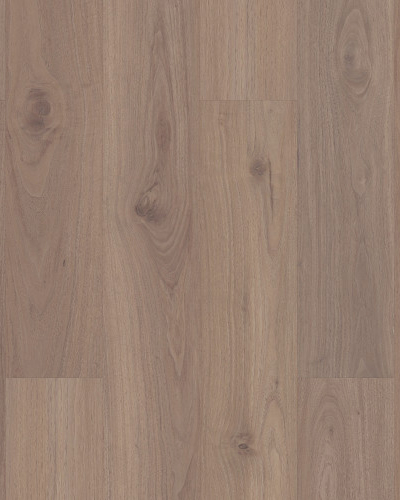 Coretec HD Integrated Aver Walnut - LVT | Carpet Exchange
