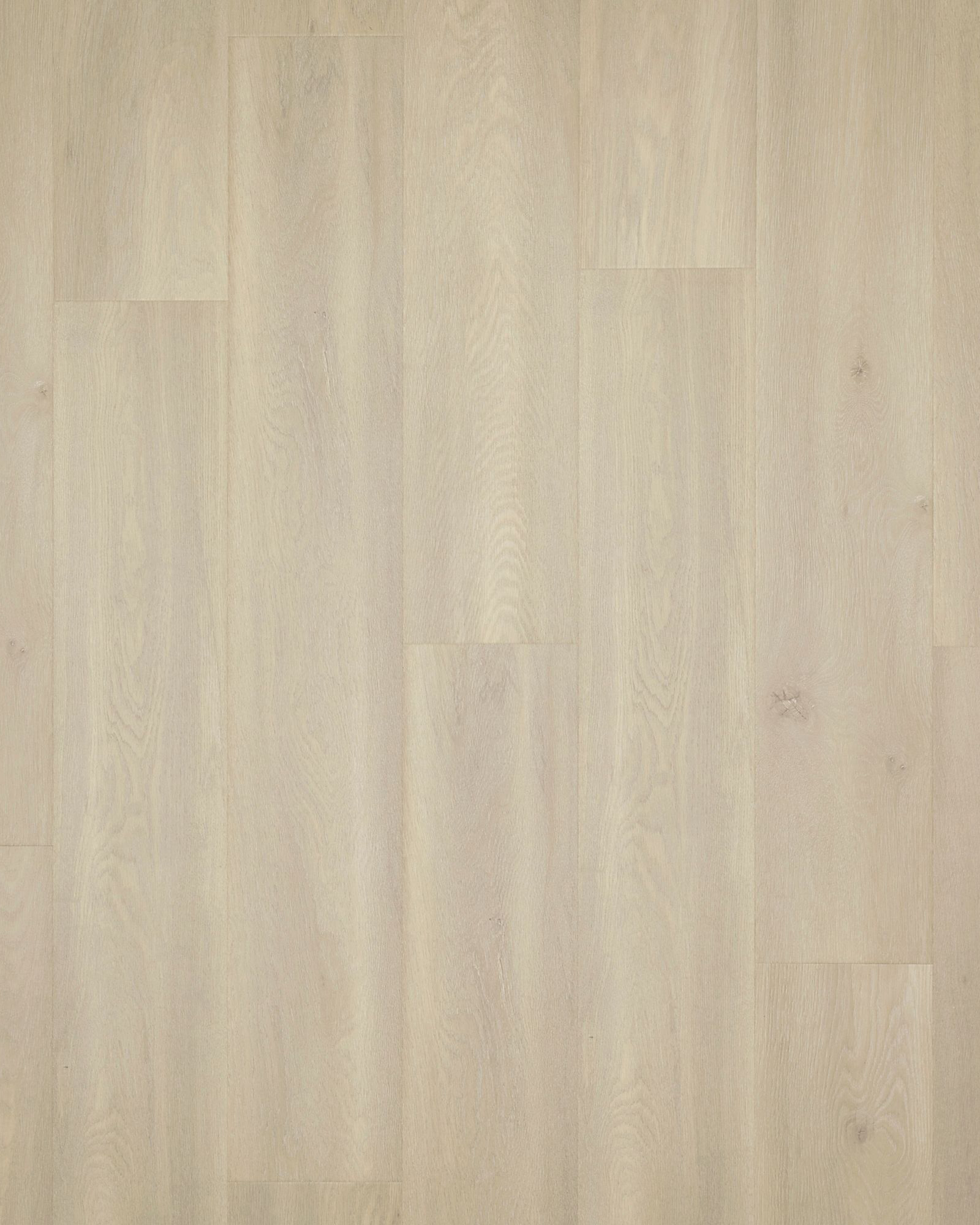 Miramar Shores Sea Otter Oak 8" Laminate | Carpet Exchange