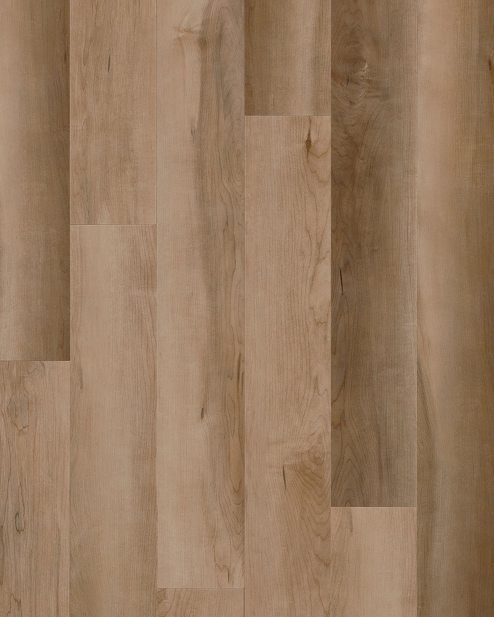 Coretec Plus 5" Dawson Maple - LVT