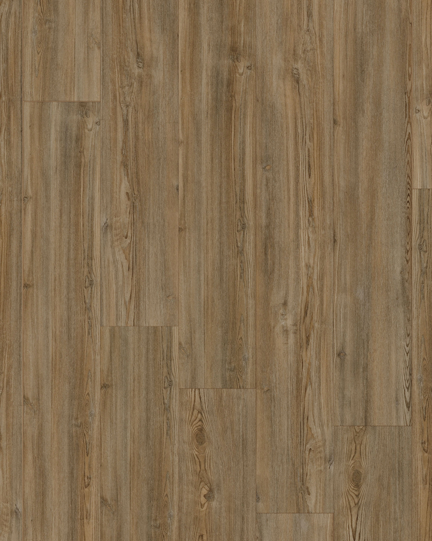 Coretec Plus Premium 9" Treasure Pine - Luxury Vinyl | Carpet Exchange