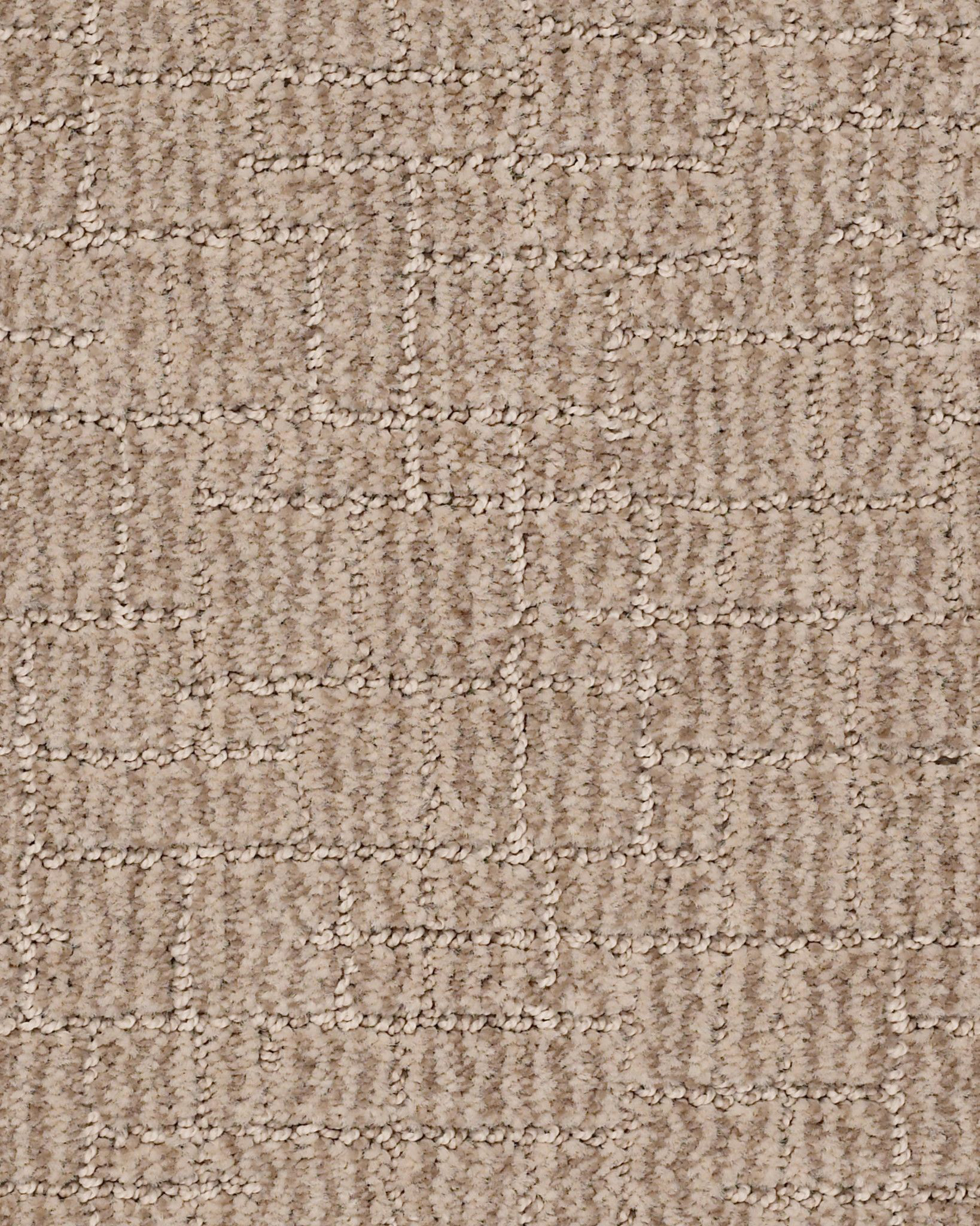 Anderson Tuftex Wayfarer Peanut Shell | Carpet Exchange