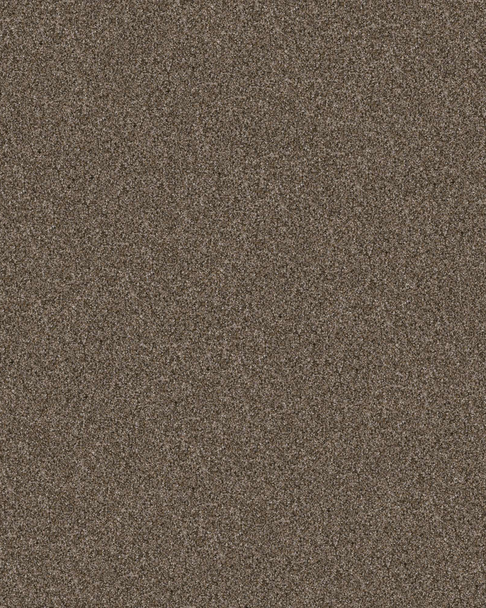 Shaw Confidence II Mission Ridge | Carpet Exchange