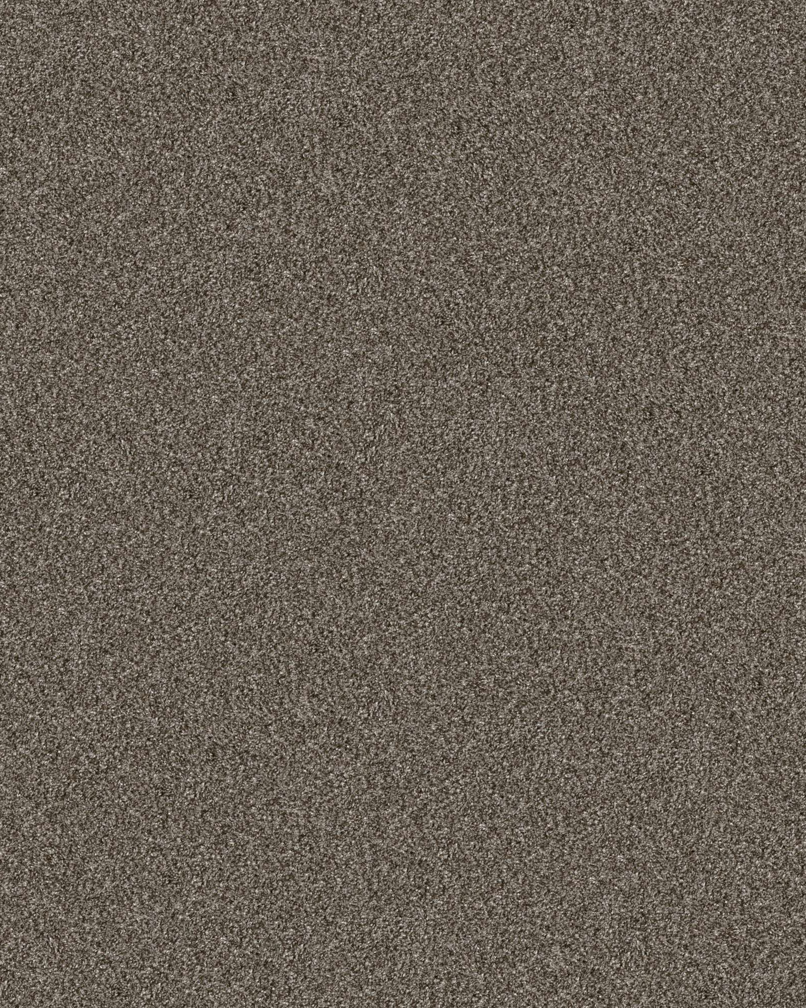 Shaw Confidence I Urban Rustic | Carpet Exchange