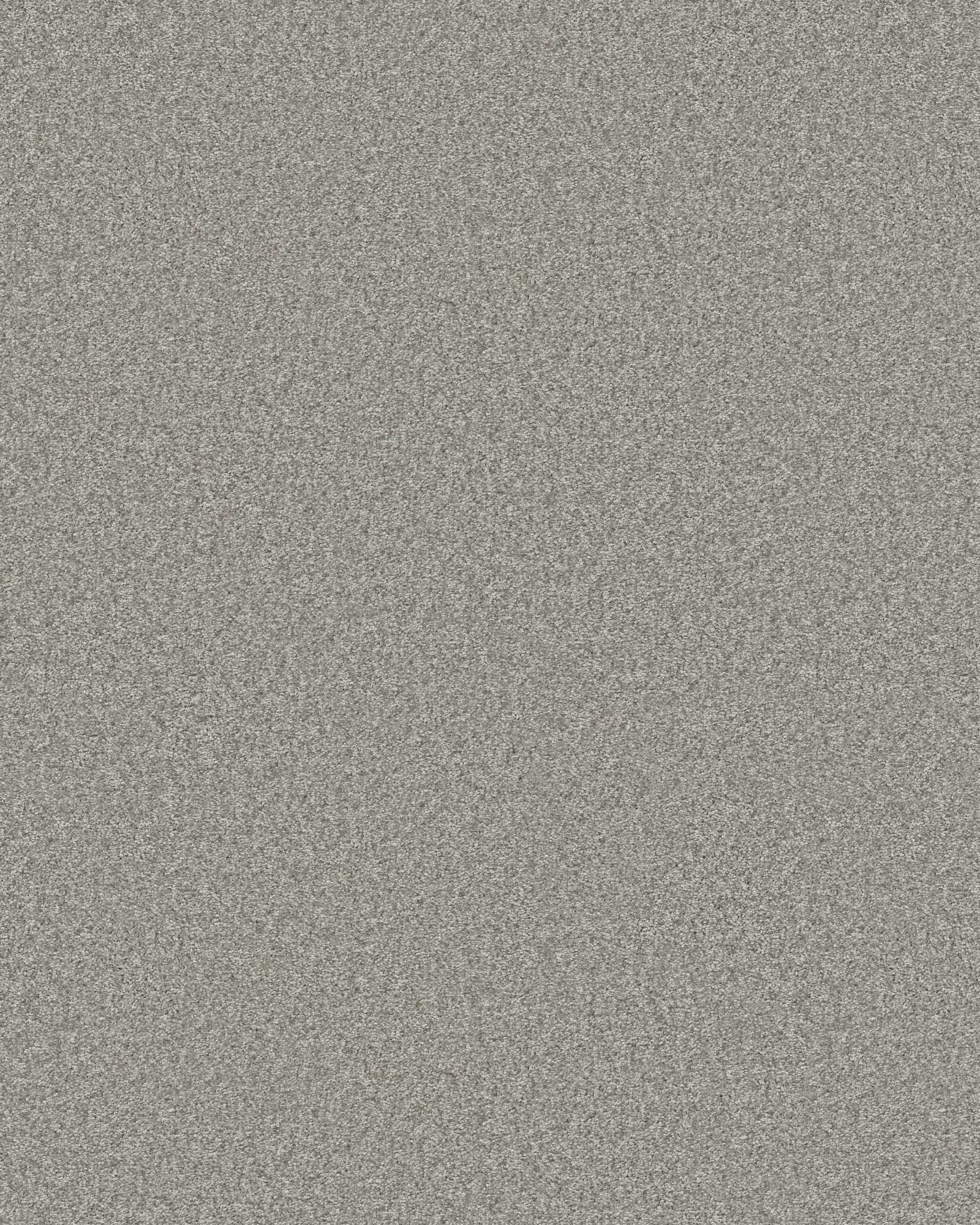Shaw Positively Radiant II Frosted Leaf | Carpet Exchange
