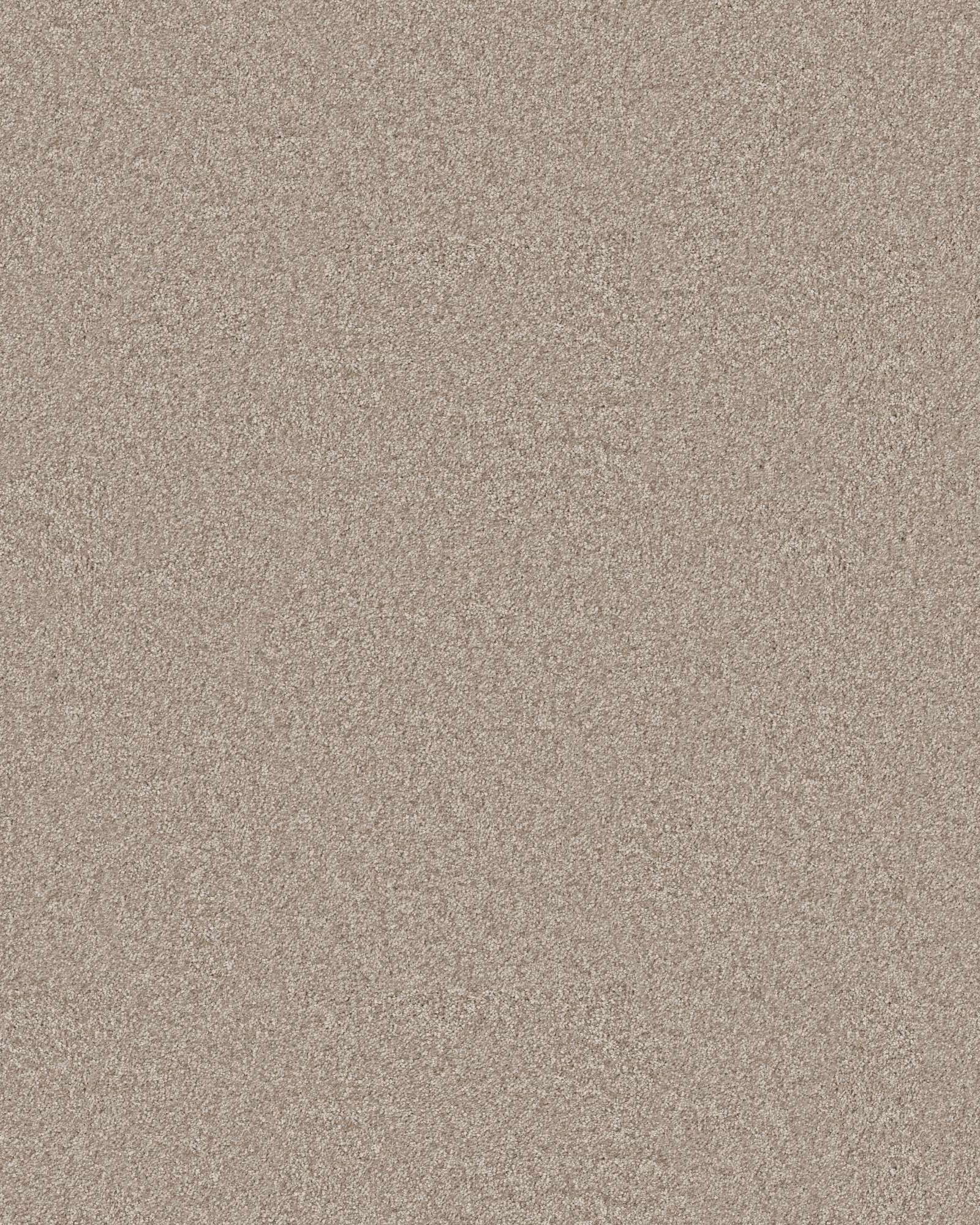 Shaw Positively Radiant III Subtle Clay | Carpet Exchange