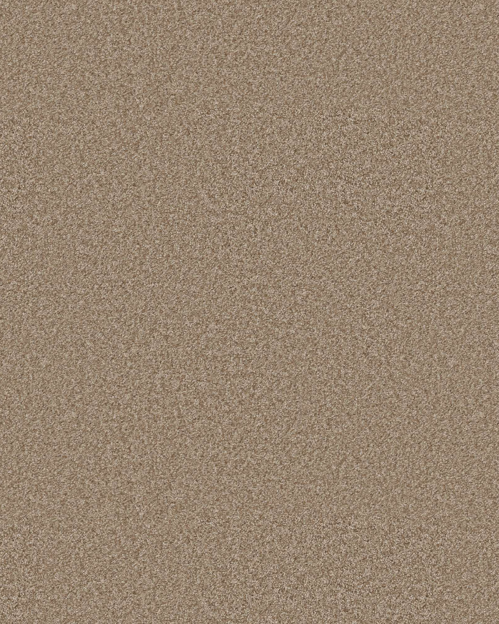 Shaw 5E560 Positively Radiant I Worn Path | Carpet Exchange